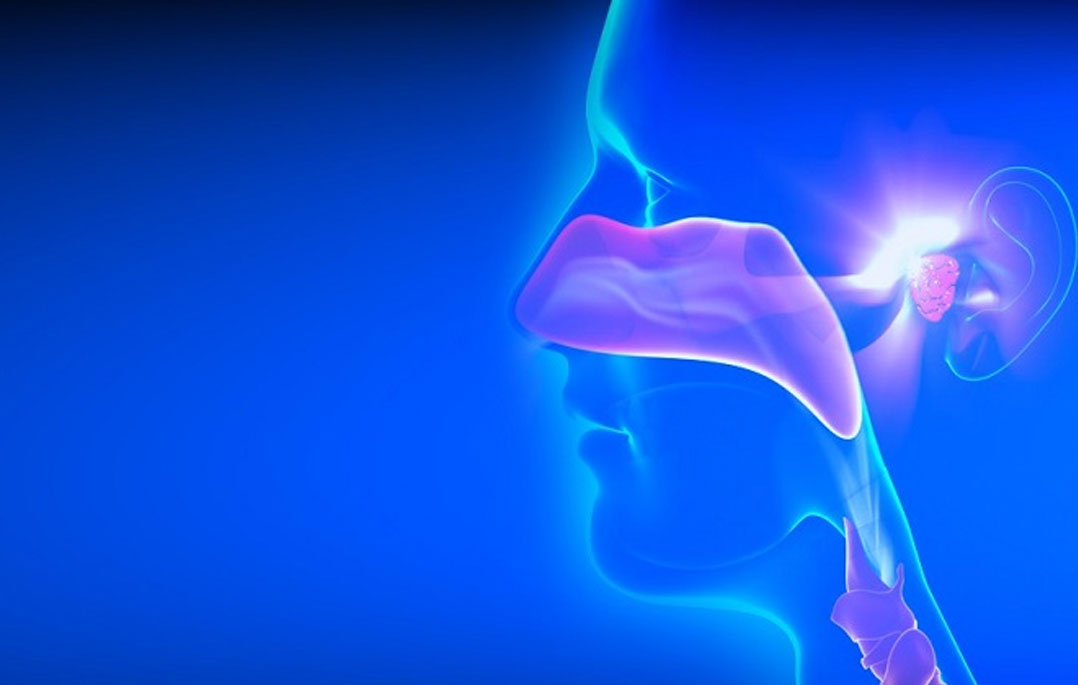 Gandaki Medical College Teaching Hospital & Research Centre (P) Ltd.